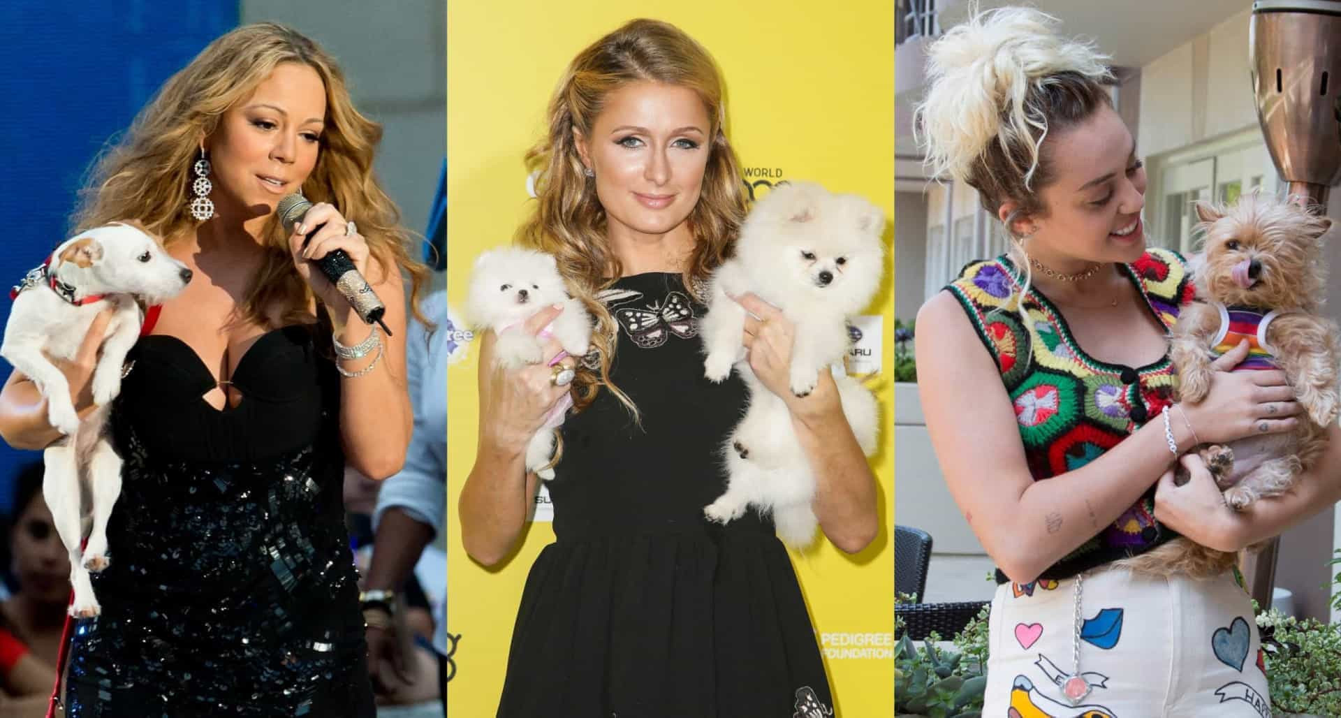 Promis mit erstaunlich vielen Haustieren