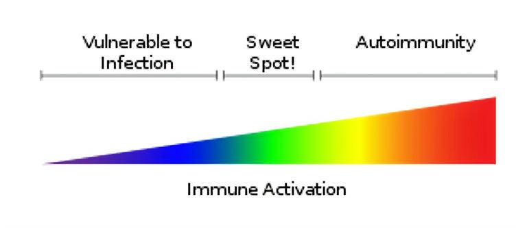 How does your immune system stay balanced? A Nobel Prize-winning answer
