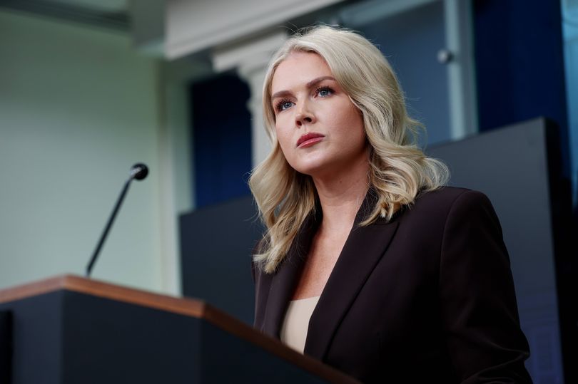 'Pathetic liar' Karoline Leavitt slammed as she rages at CNN reporter ...