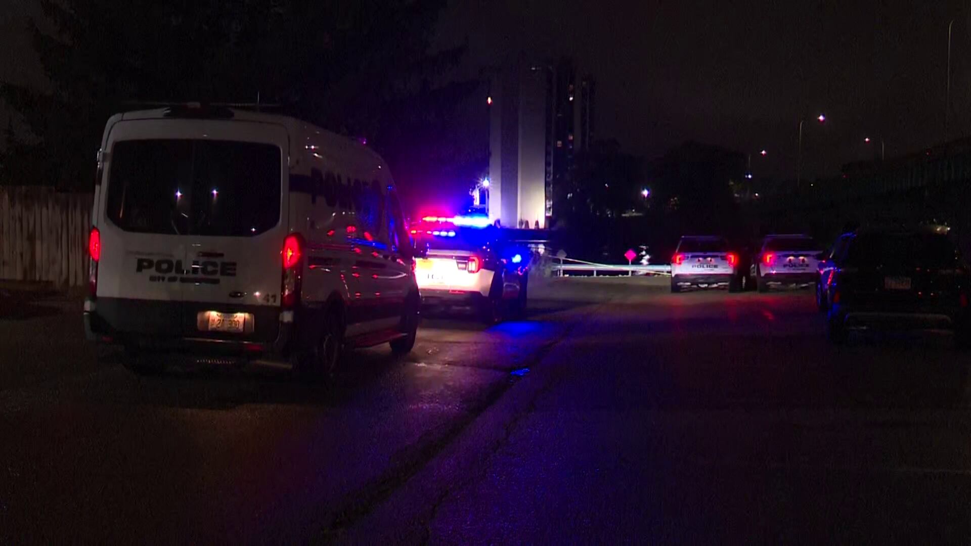 Woman accused of first-degree murder in Rockford stabbing granted ...