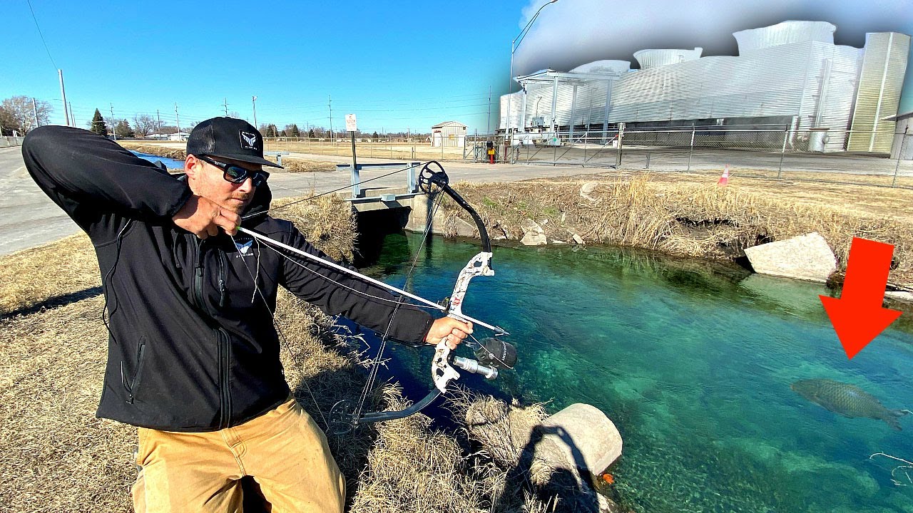 Bowfishing a power plant discharge canal in clear water