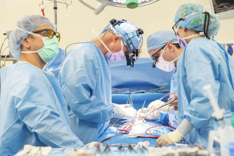 Dell Children's earn top 10 U.S. News & World Report for cardiology
