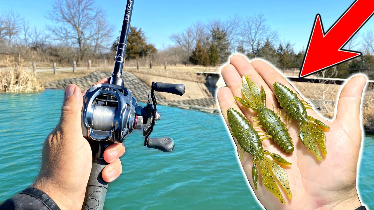 Angler lands every big bass in one central pond hotspot