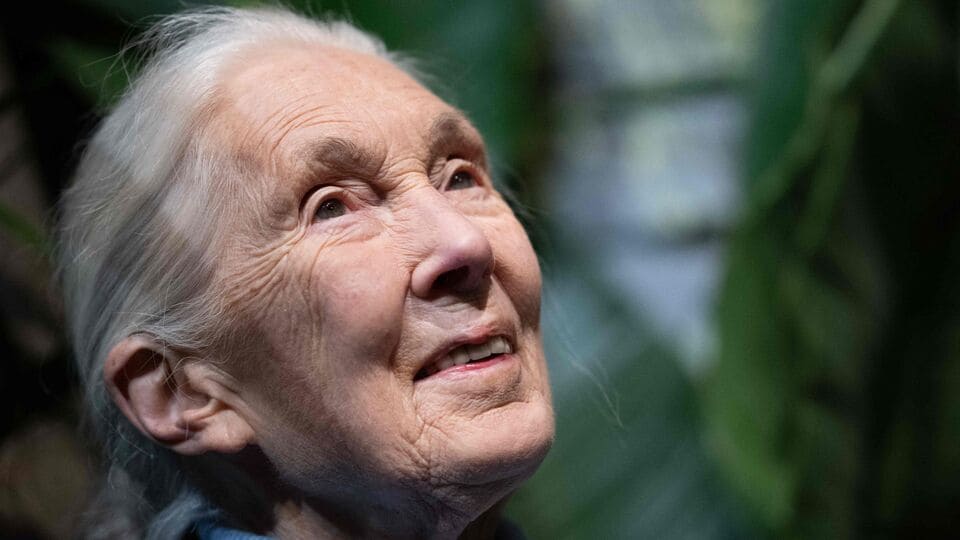‘Send them off,’ Jane Goodall wanted to put Musk, Trump, Putin, Xi and ...