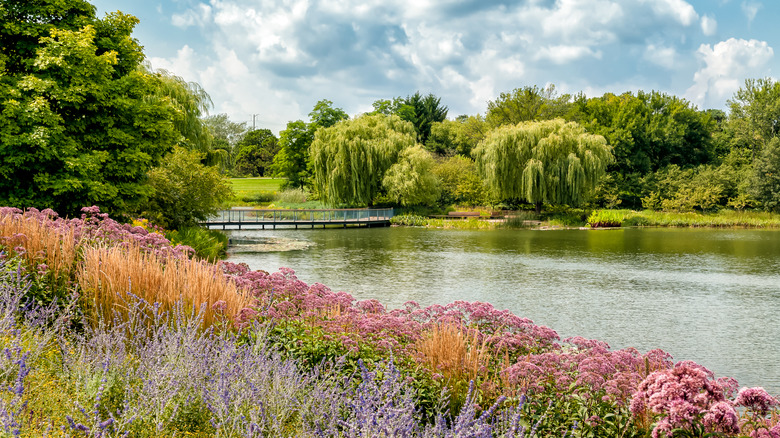Chicago's Massive Botanical Garden Is An Ethereal Escape From The ...