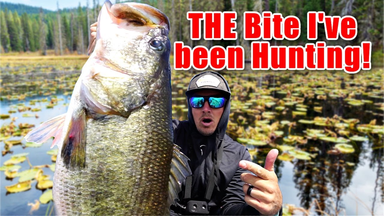 I waited all season for this long awaited fishing moment