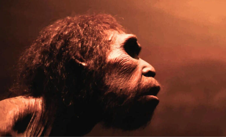 New Early Homo Species Discovered in Africa Defies the “Ape-To-Human ...