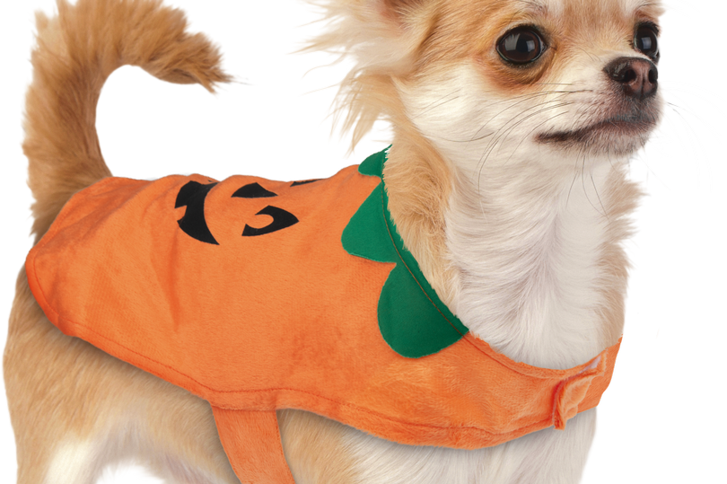 Lidl launches bargain Halloween costume and decorations range starting ...