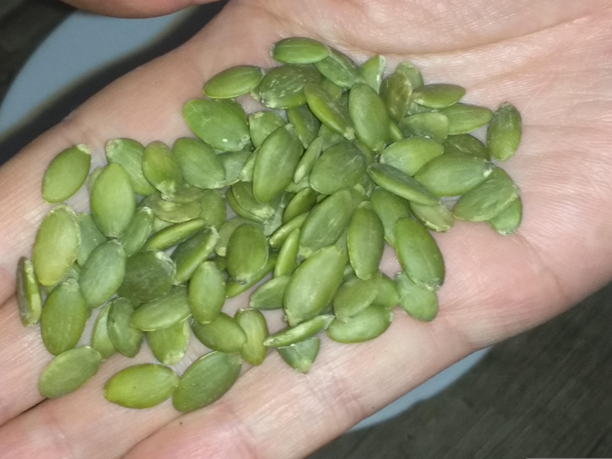 How pumpkin seeds can help lower your bad cholesterol without medication