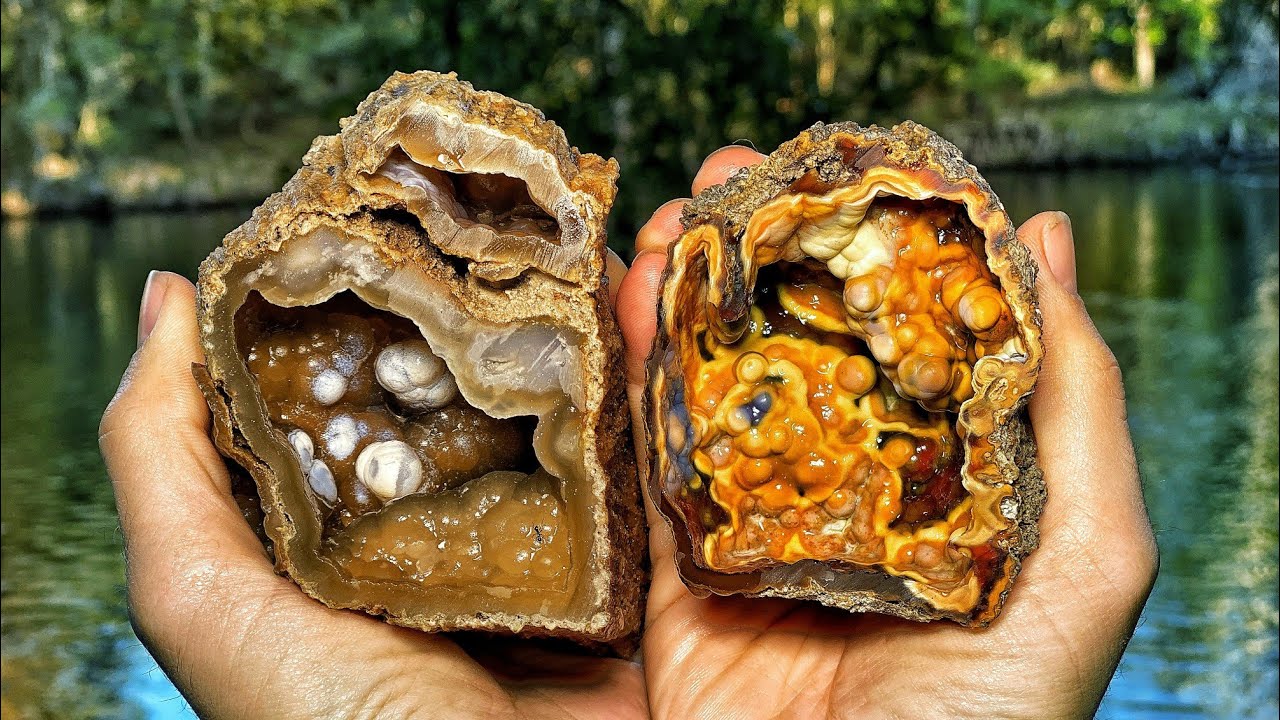 SCUBA adventure uncovers agatized coral geodes in Georgia