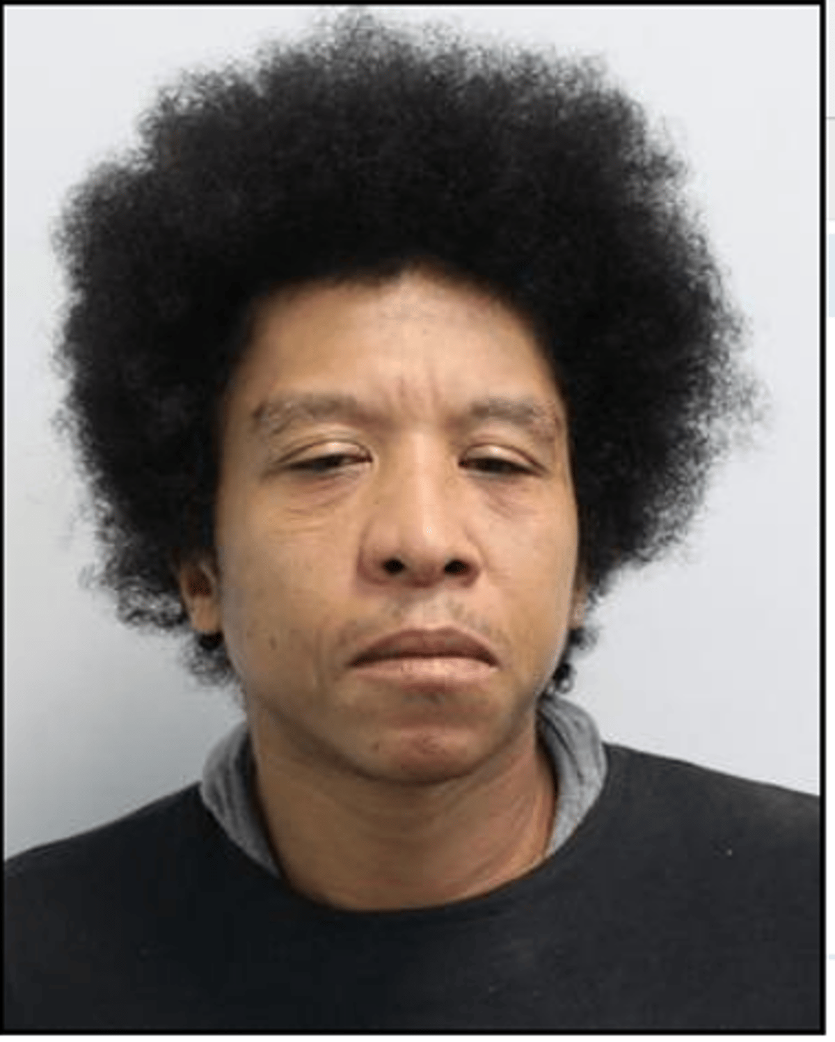 Rail trespasser who caused 38 rush-hour trains to be cancelled or ...