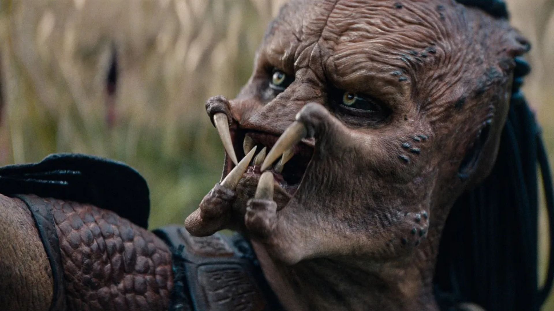 'Predator' franchise gets positive update from Dan Trachtenberg: "So ...