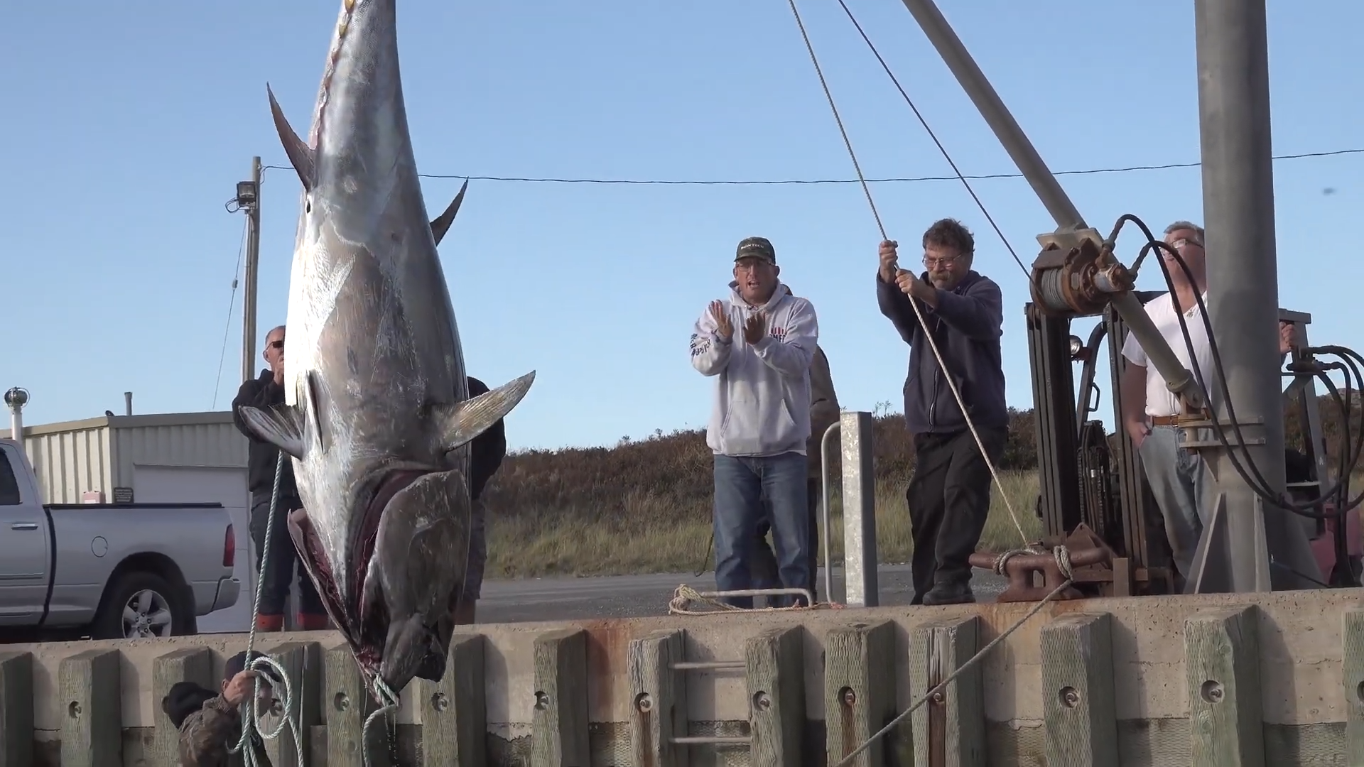 $5 tuna vs $1.8 million tuna - what’s the real difference?