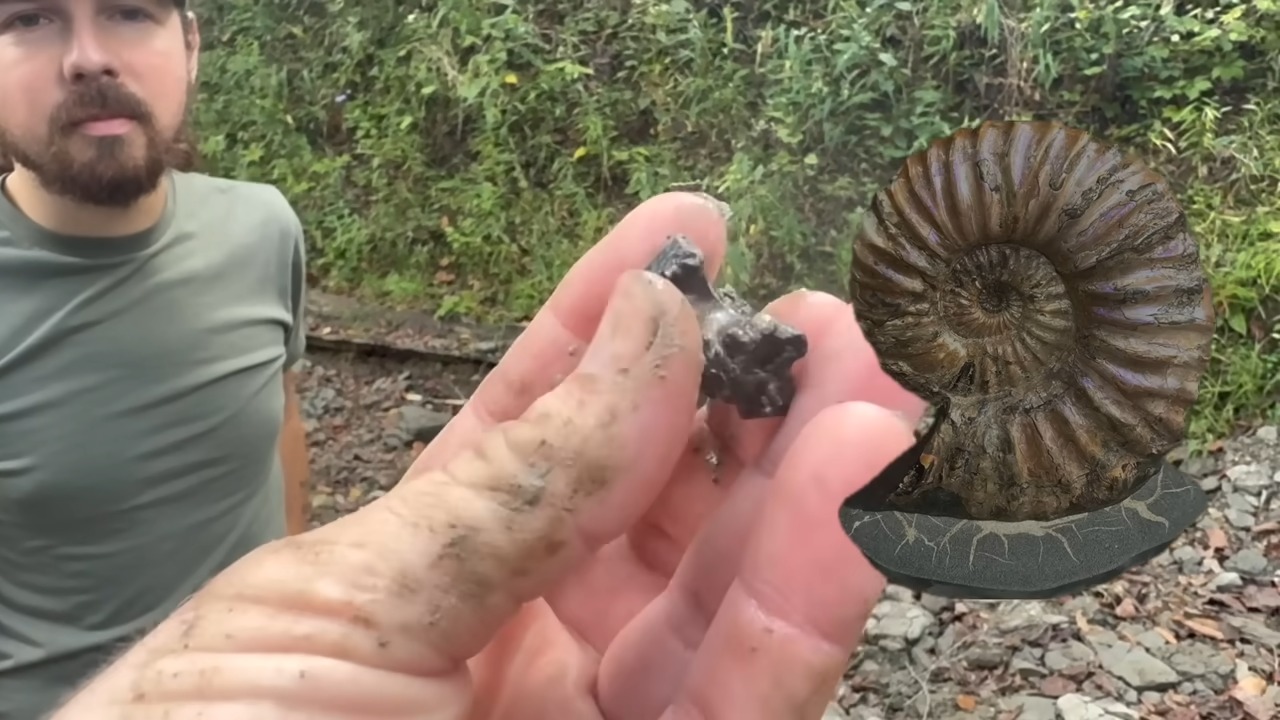 Digging up ancient ocean treasures in an Alabama creek