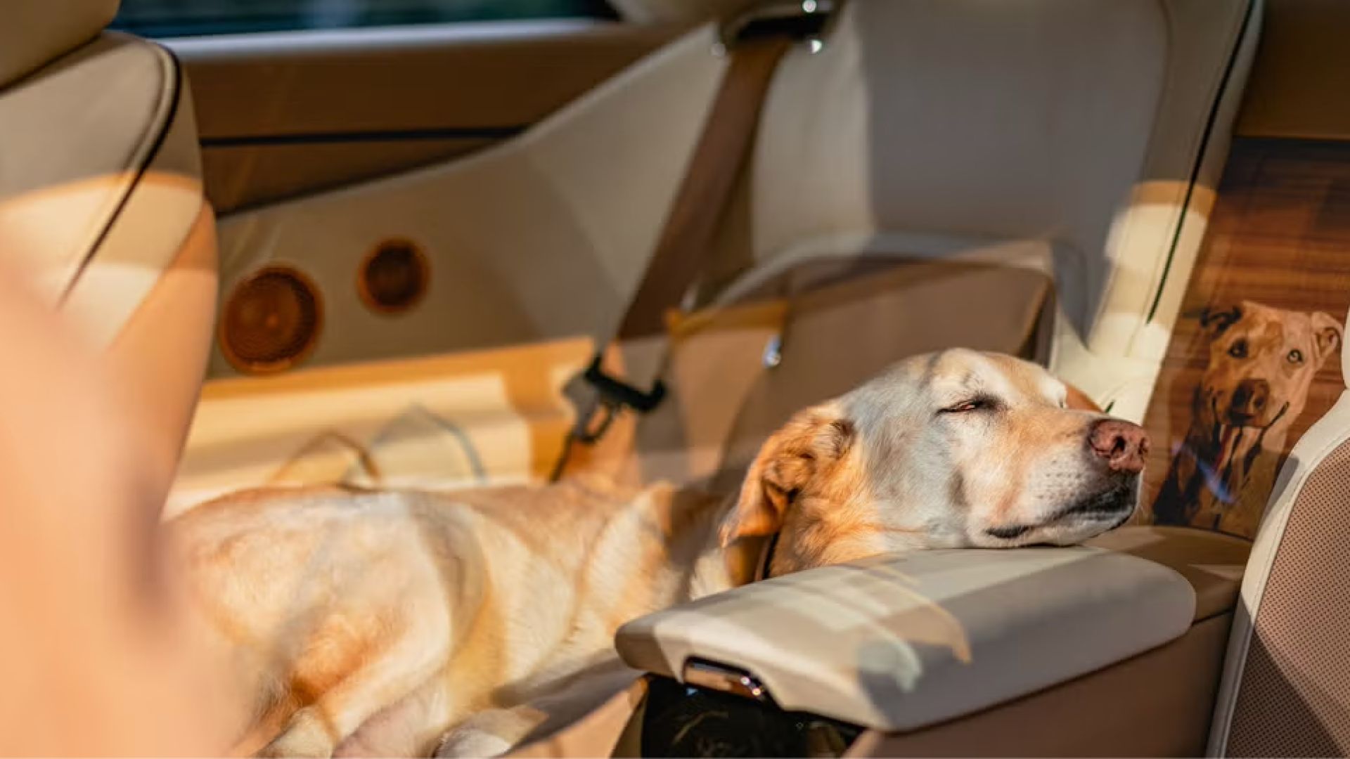 Rolls-Royce Crafts One-of-a-Kind Electric Coupe to Honor a Beloved ...