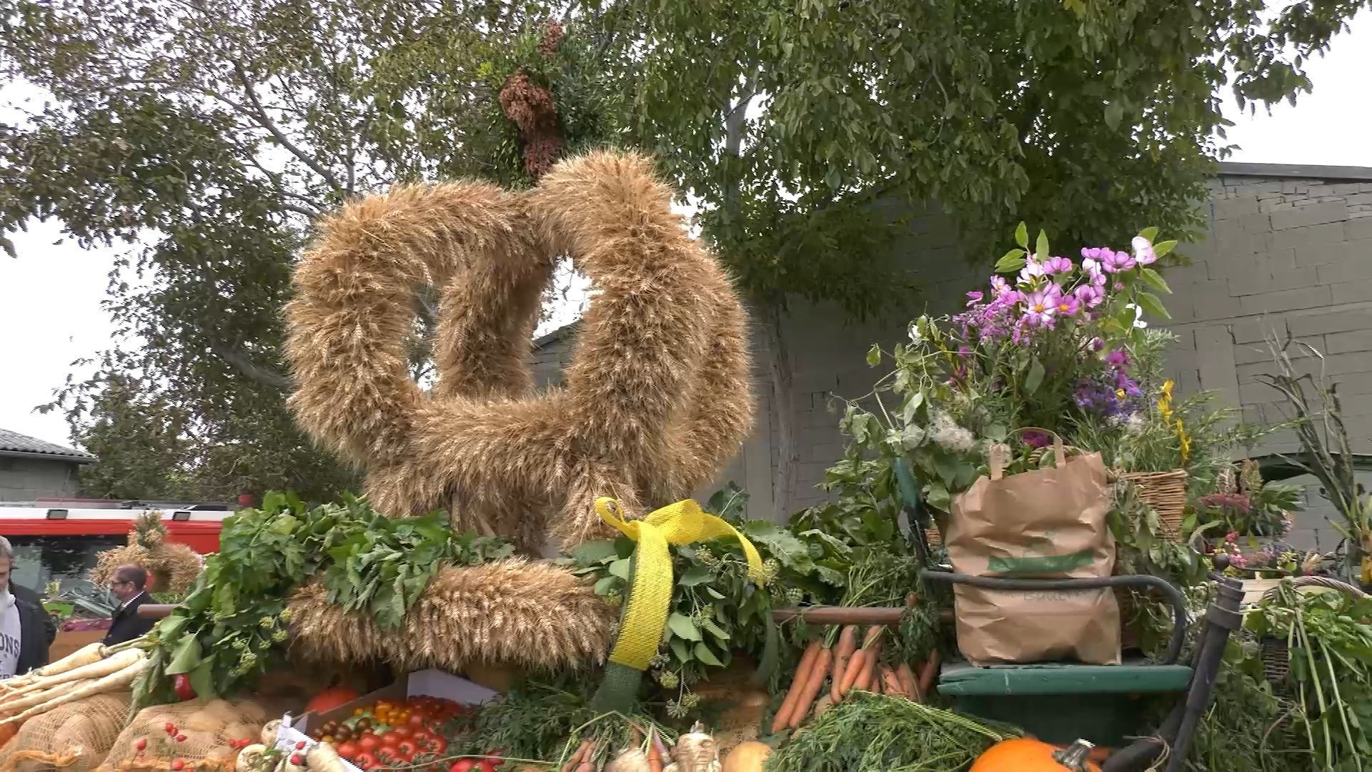Erntedank & Abschied – Ein Tag voller Segen im Marchfeld