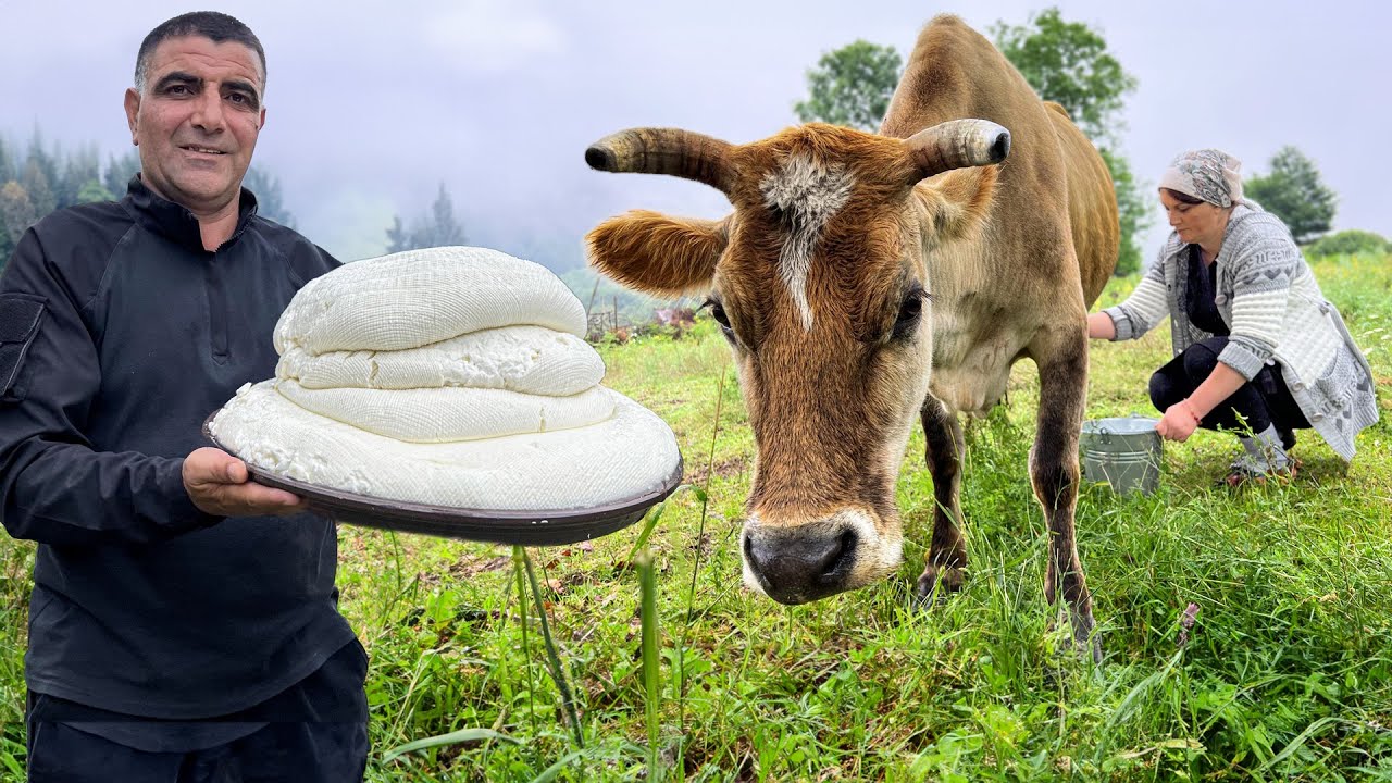 Traditional Cheese Made from Fresh Milk in Azerbaijan
