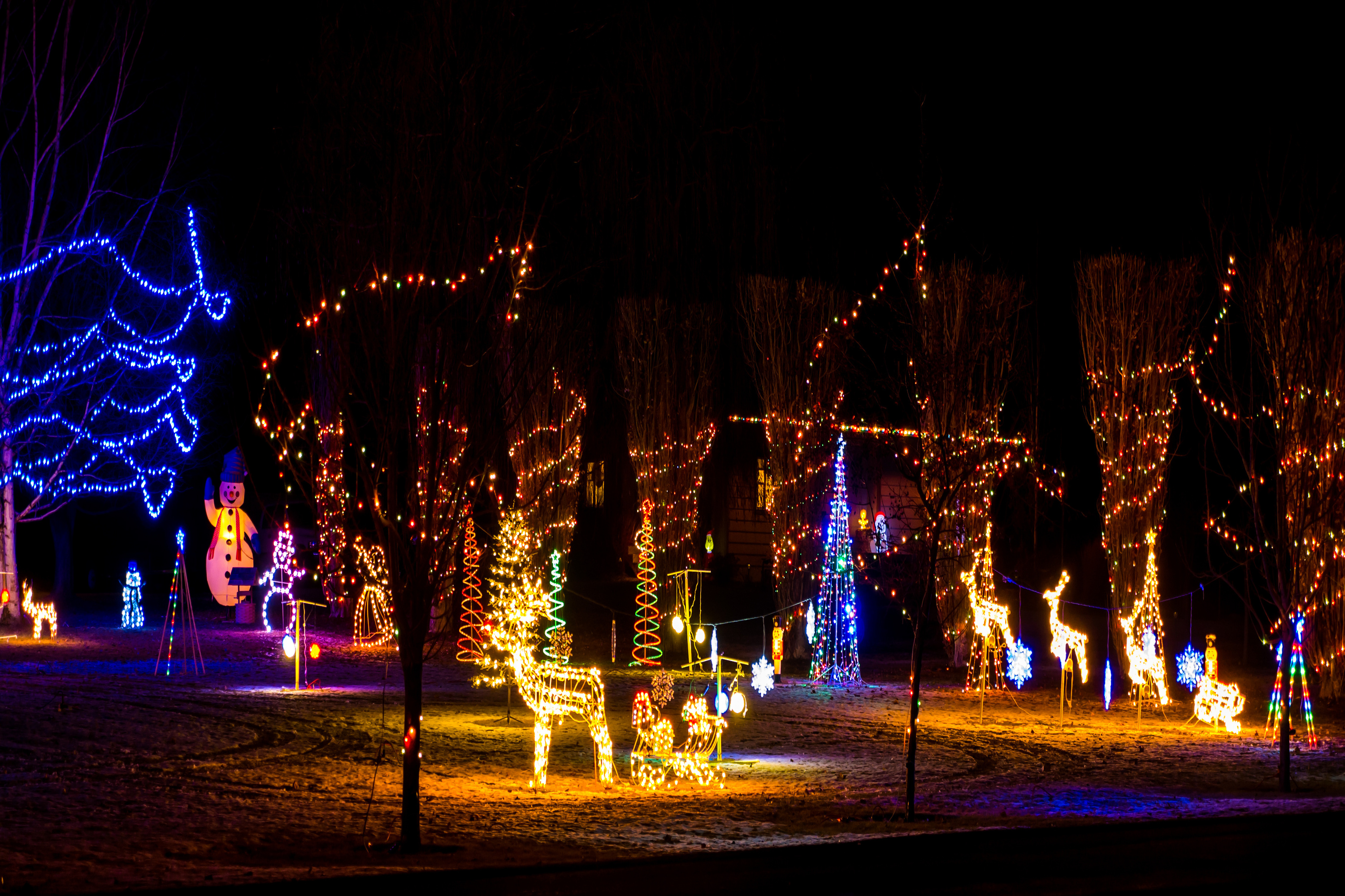 7 Must-See Christmas Light Displays in Iowa (They're Pure Magic)