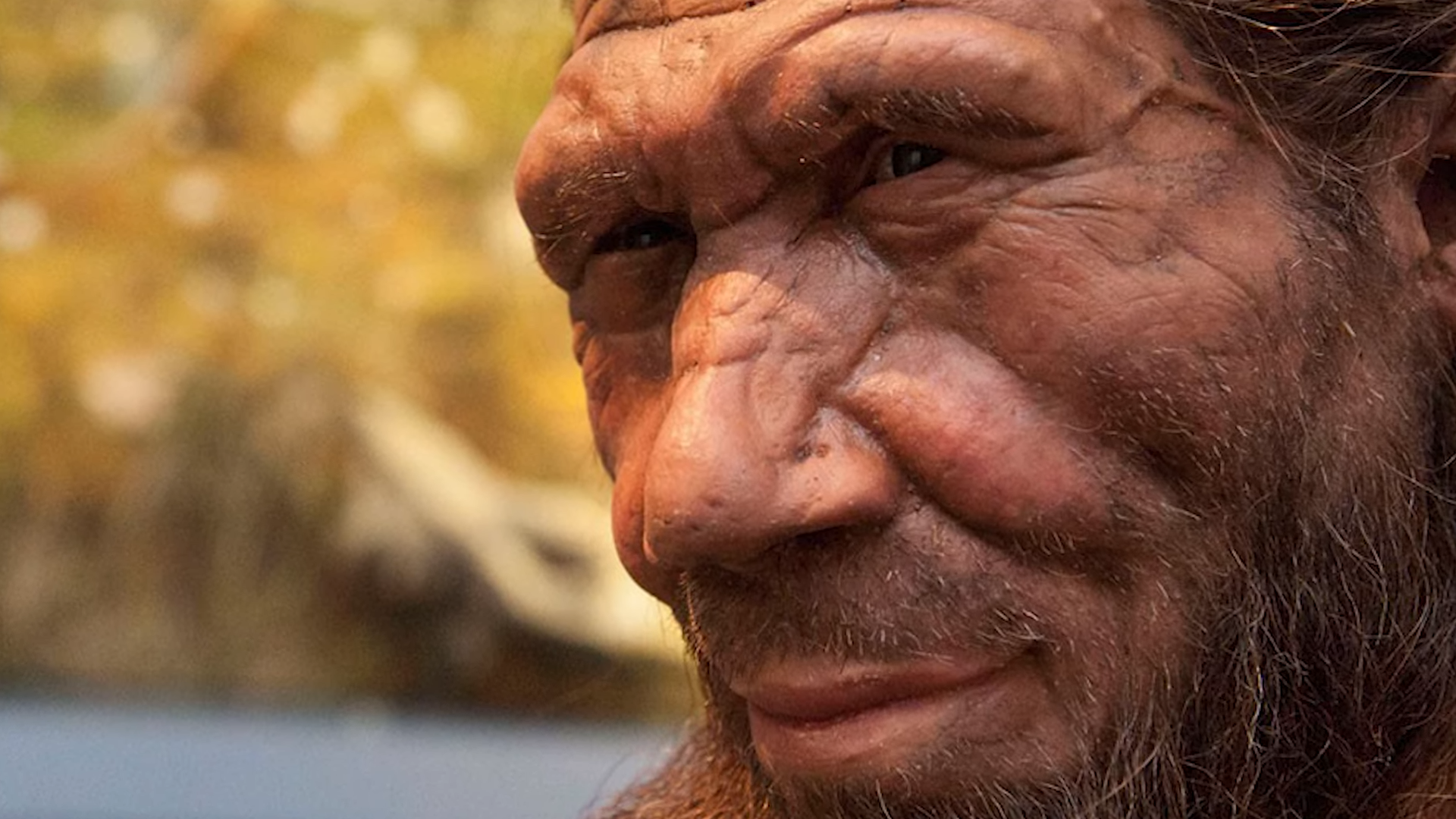 The Ancient Human That May Be Our Direct Ancestor