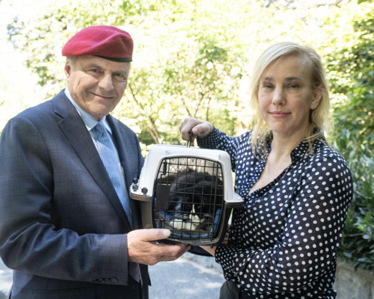 The Cat-Loving Republican in NYC’s Mayoral Race Who Just Won’t Quit