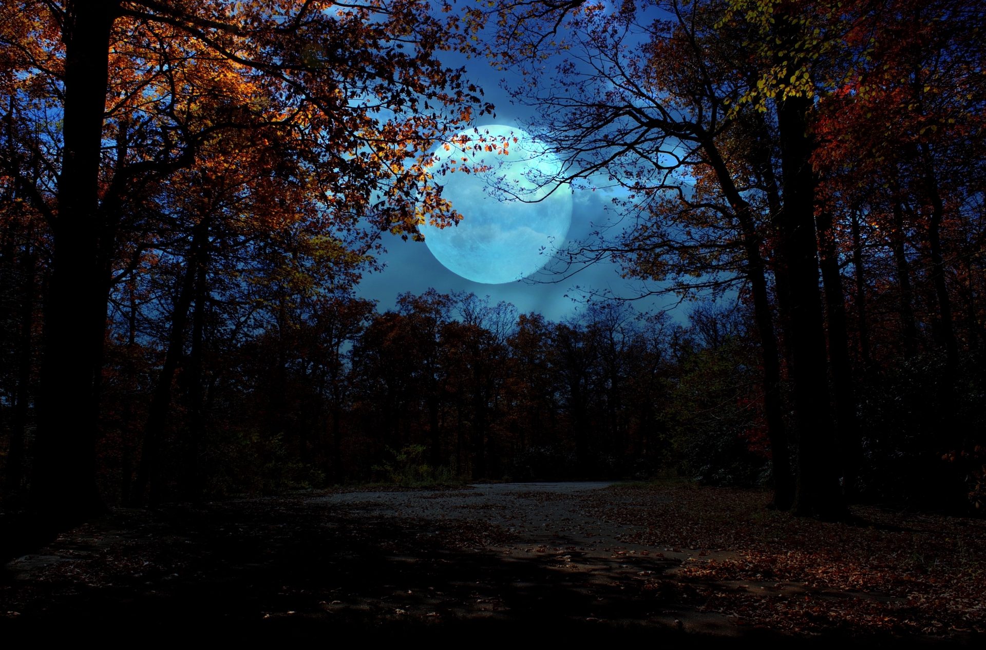 The October hunter’s moon is coming tonight – here’s what it means for you