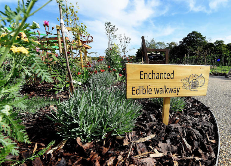 Sharon Wheeler, Chestnut Tree House: Greenfingers garden