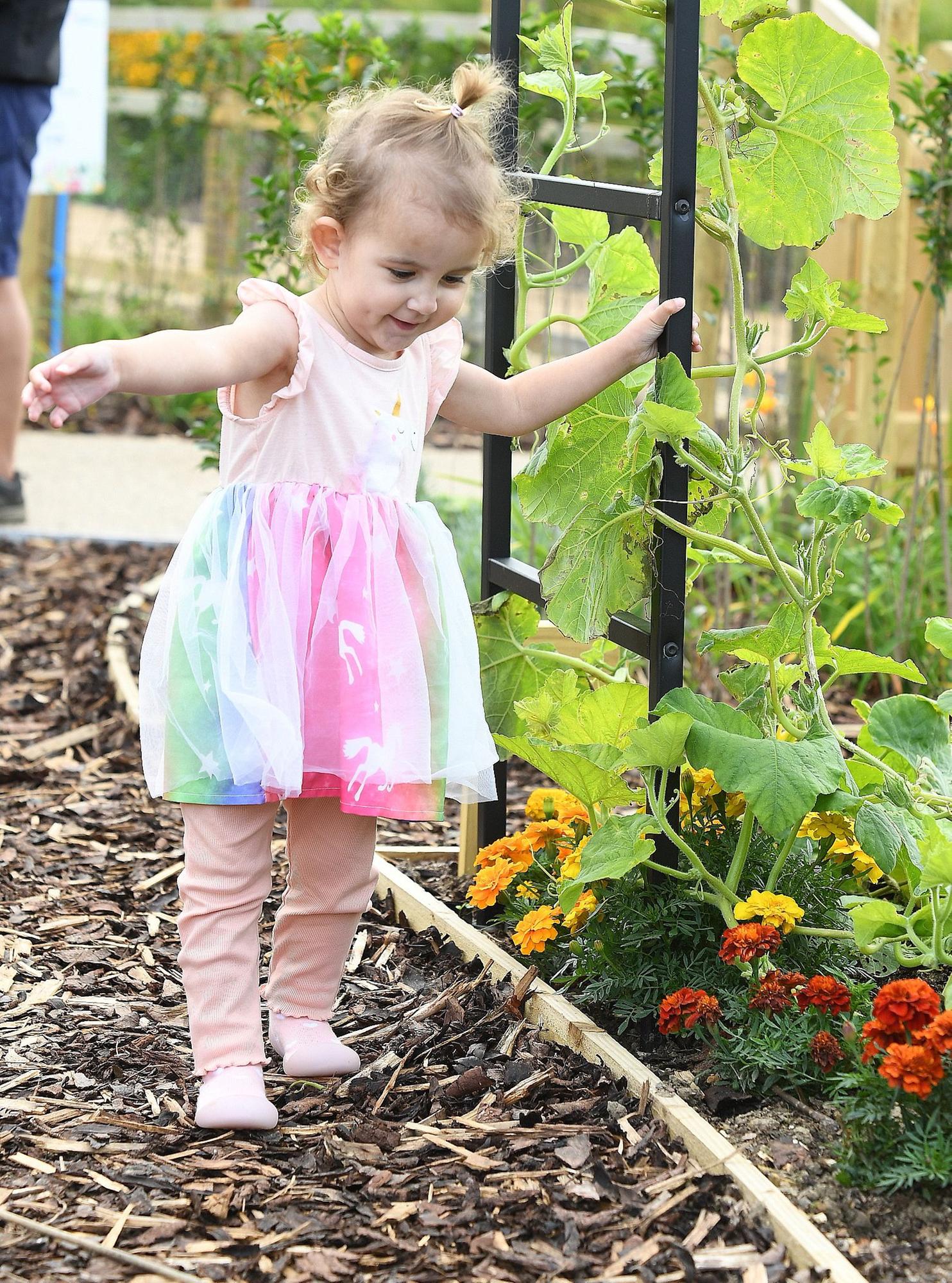 Sharon Wheeler, Chestnut Tree House: Greenfingers garden