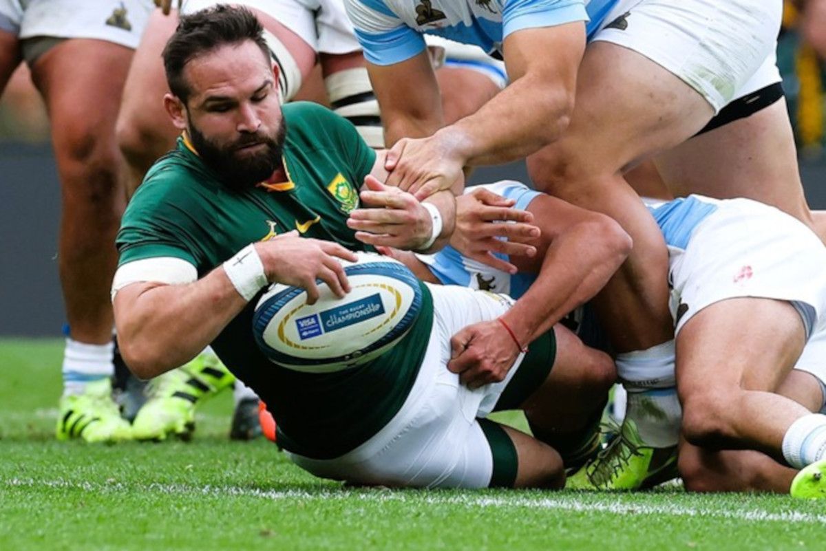 Springboks Rugby Championship Player Ratings: Who fired, who flopped?