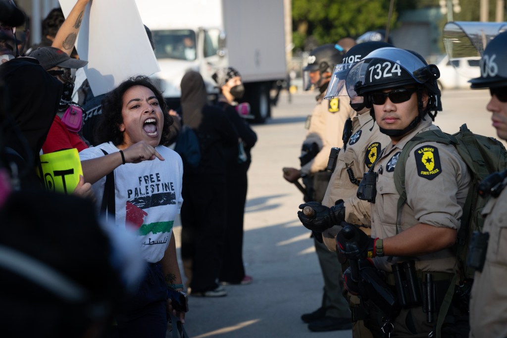 Far-left professor Eman Abdelhadi charged with violent felonies after ...