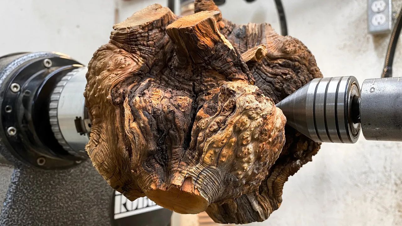 Woodturning: The stunning root burl reveal!