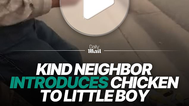 Kind neighbor cheers up little boy with some help from his pet chicken