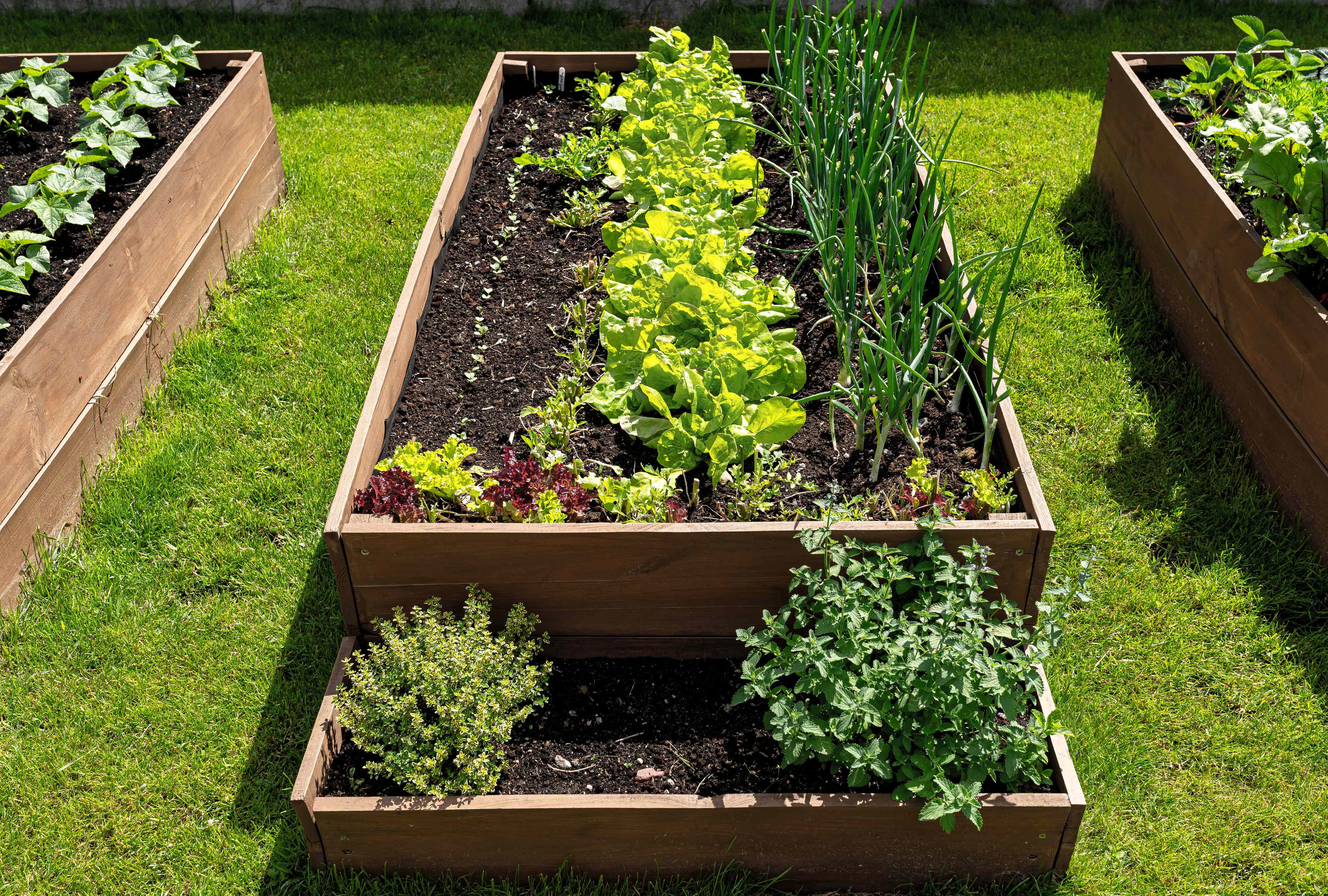 How to Create the Best Soil for Raised Beds for Healthier, More ...