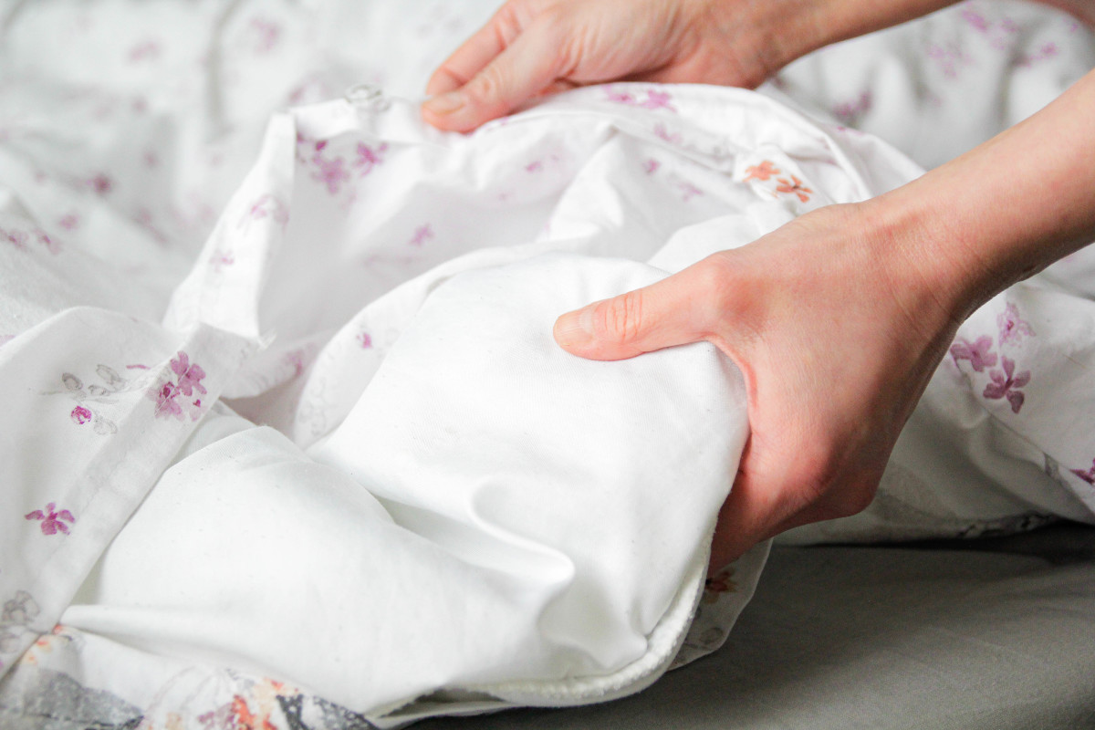 How To Get Rid Of Bed Bugs Low Cost Diy Extermination Without Toxic