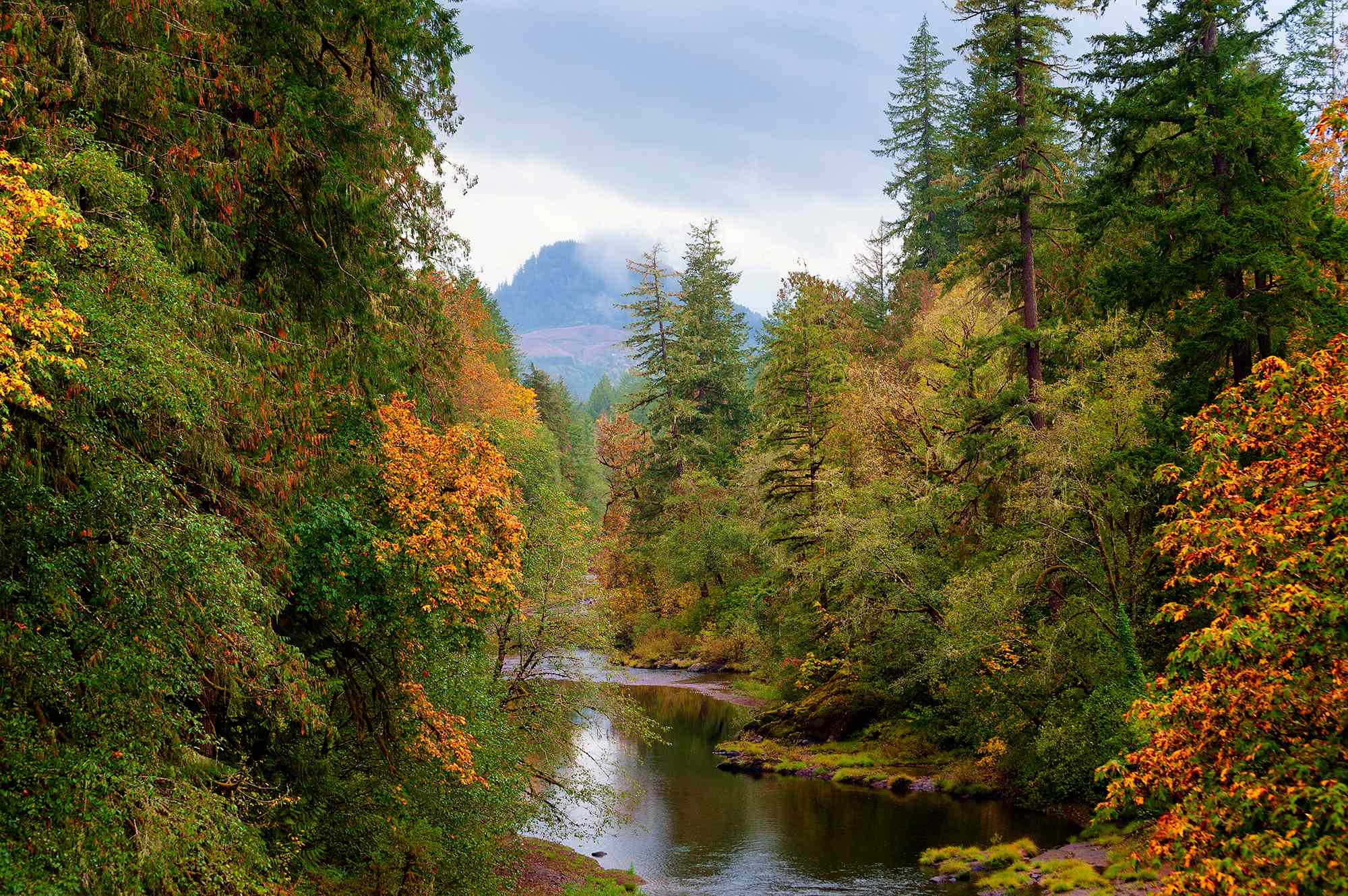 This 82-mile Scenic Drive Winds Past Waterfalls, Lava Fields, 6 Peaks ...