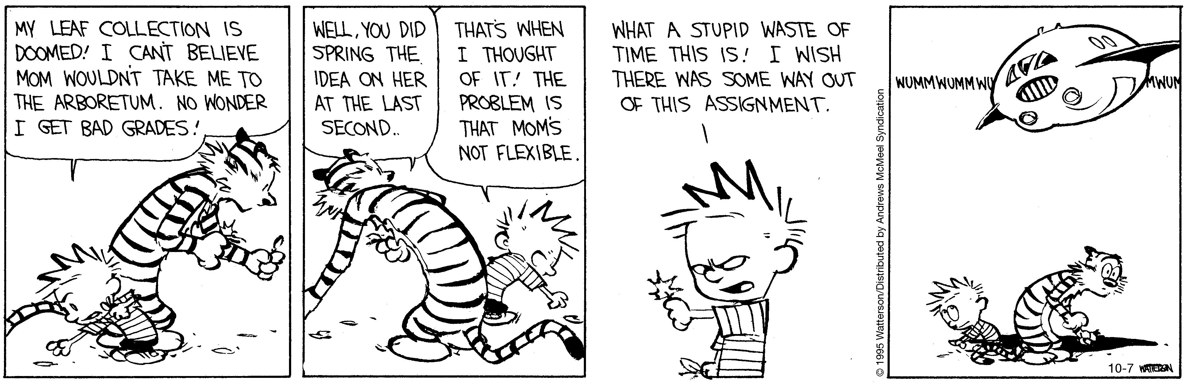 Calvin and Hobbes by Bill Watterson