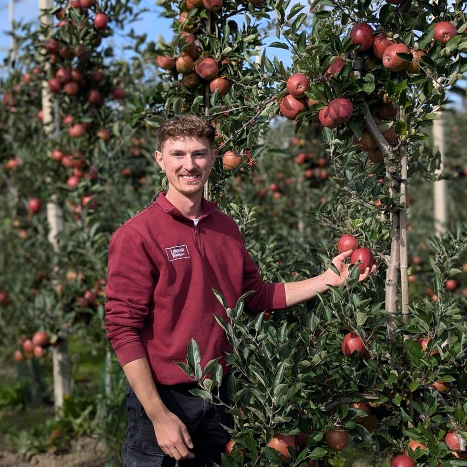 Regionale Apfelsorten und ihre Vielfalt
