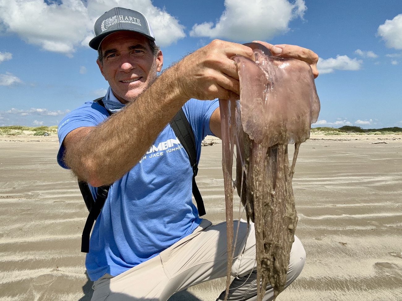 Rare 'Pink Meanie' Jellyfish Are Blooming Off the Coast of Texas