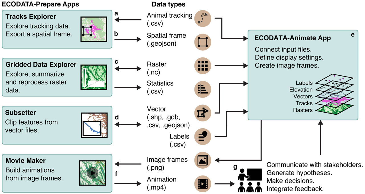 Animations of wildlife tracking data help explore animal movements