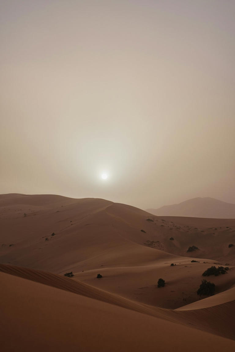 Why dust from the Sahara affects weather across the Atlantic