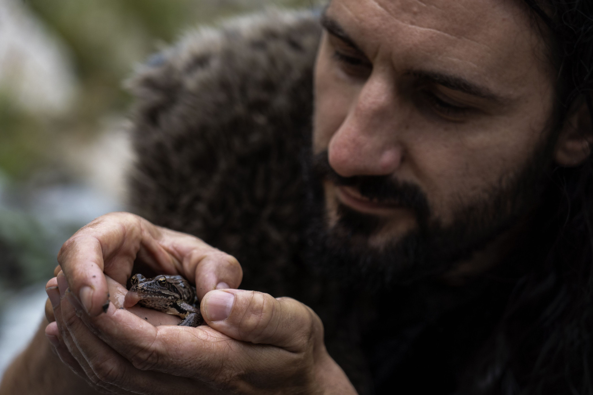 What was the Neanderthal diet like?