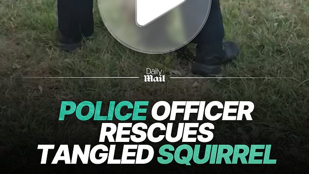 Police officer rescues tangled squirrel