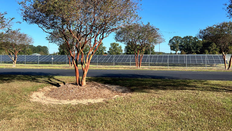 Greenville Utilities launches community solar farm during Public Power ...