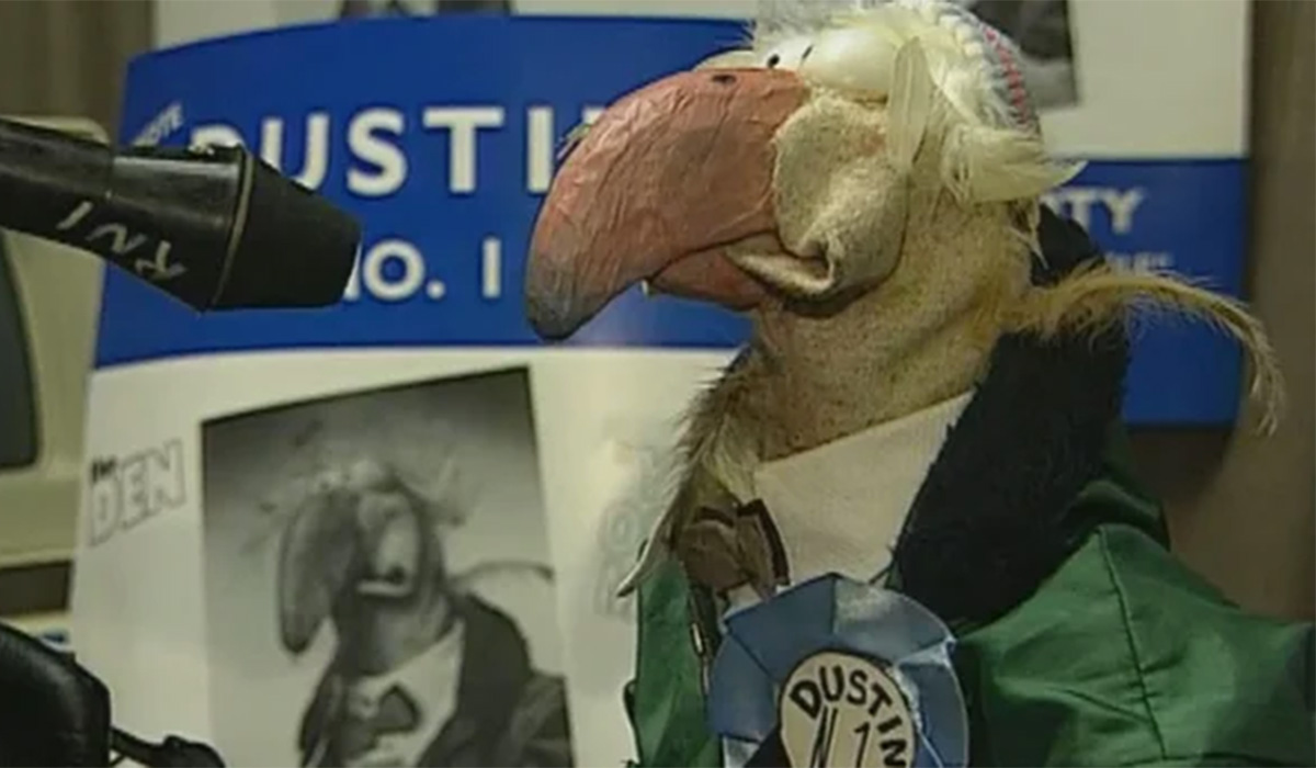 Fowl play in the Áras? Dustin the Turkey throws his wing in the ring ...