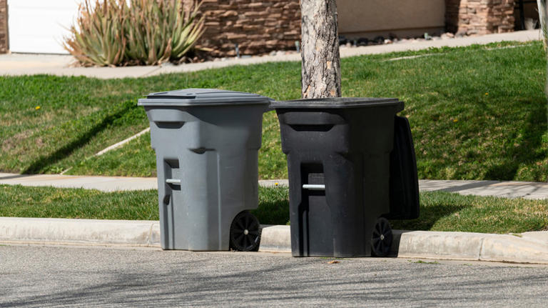 What The Law Says About Where You Can Place Your Trash Cans