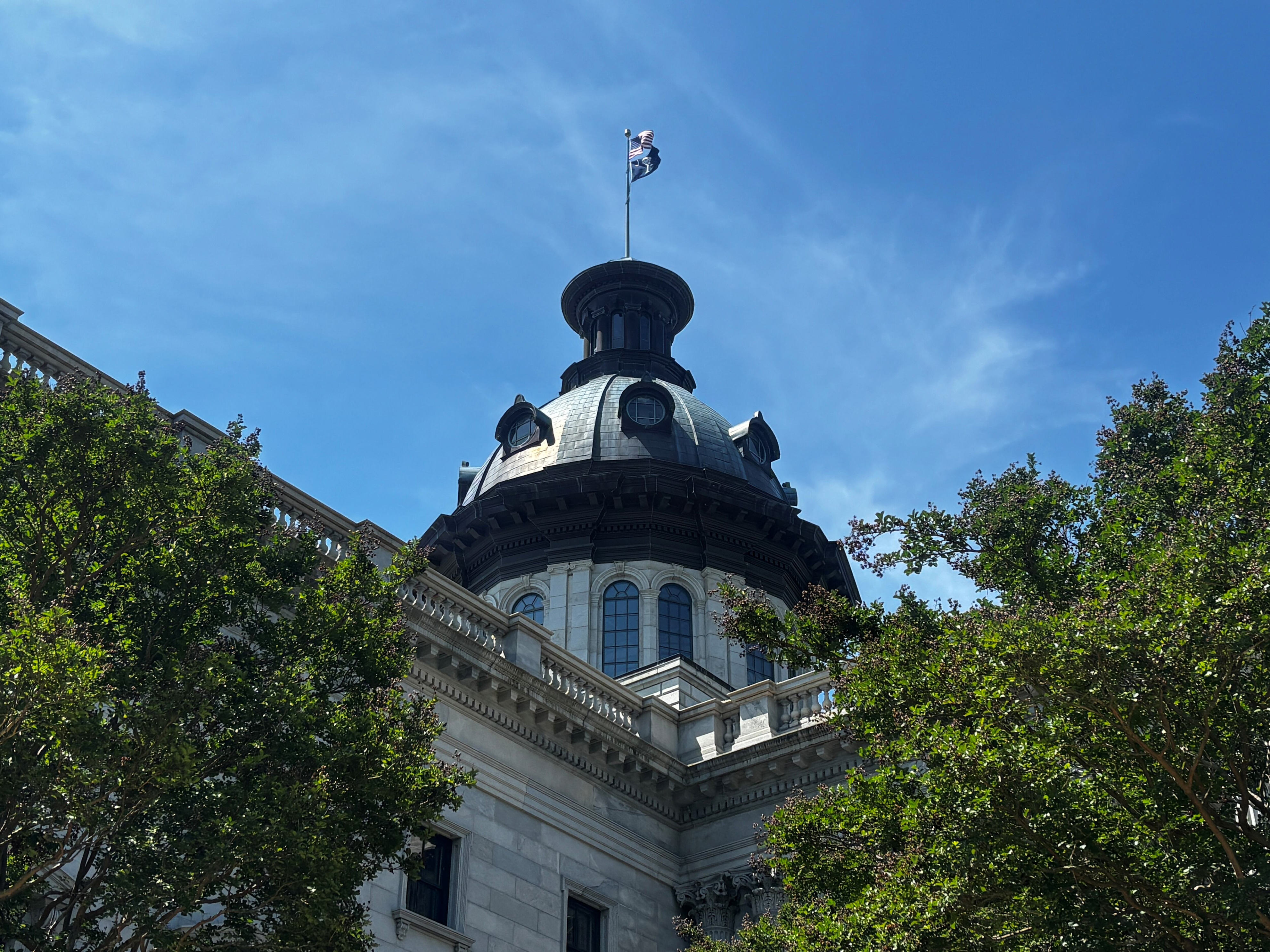 Primary voting underway for special election to replace ex-SC Rep. RJ May