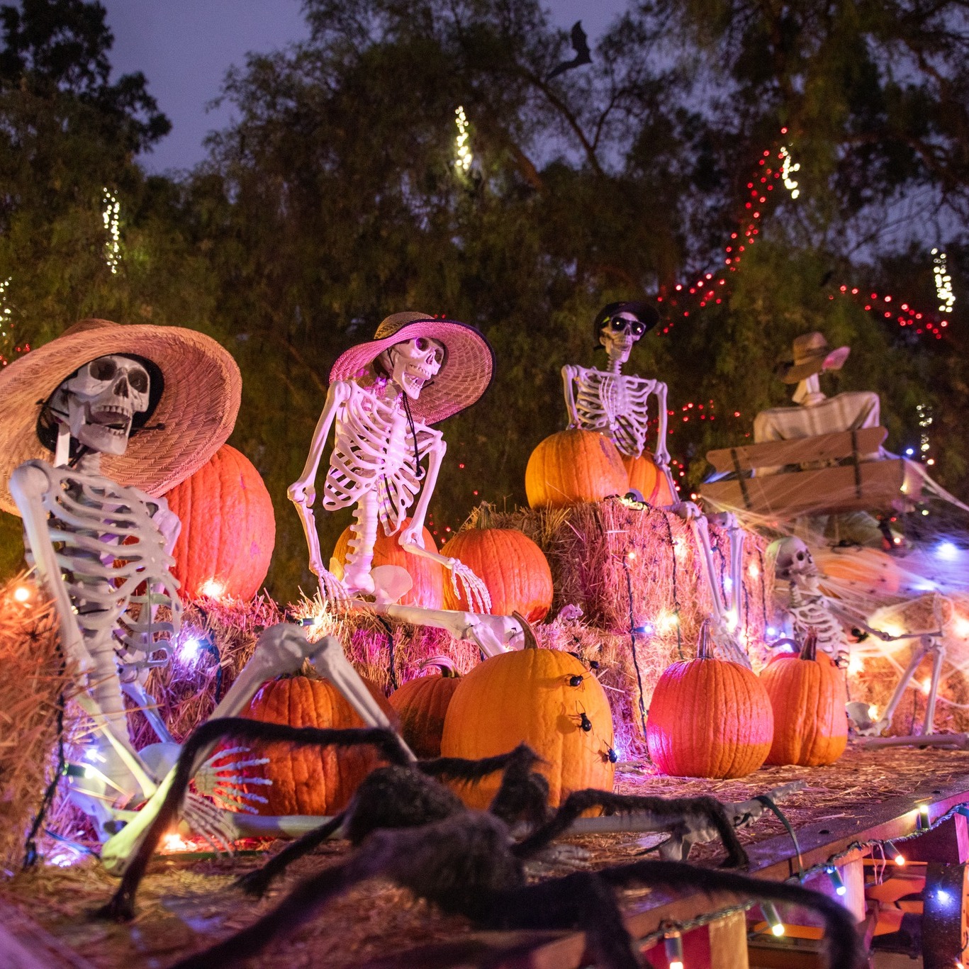 OC's Fall-O-Ween brings fall fun to Heritage Hill Historical Park