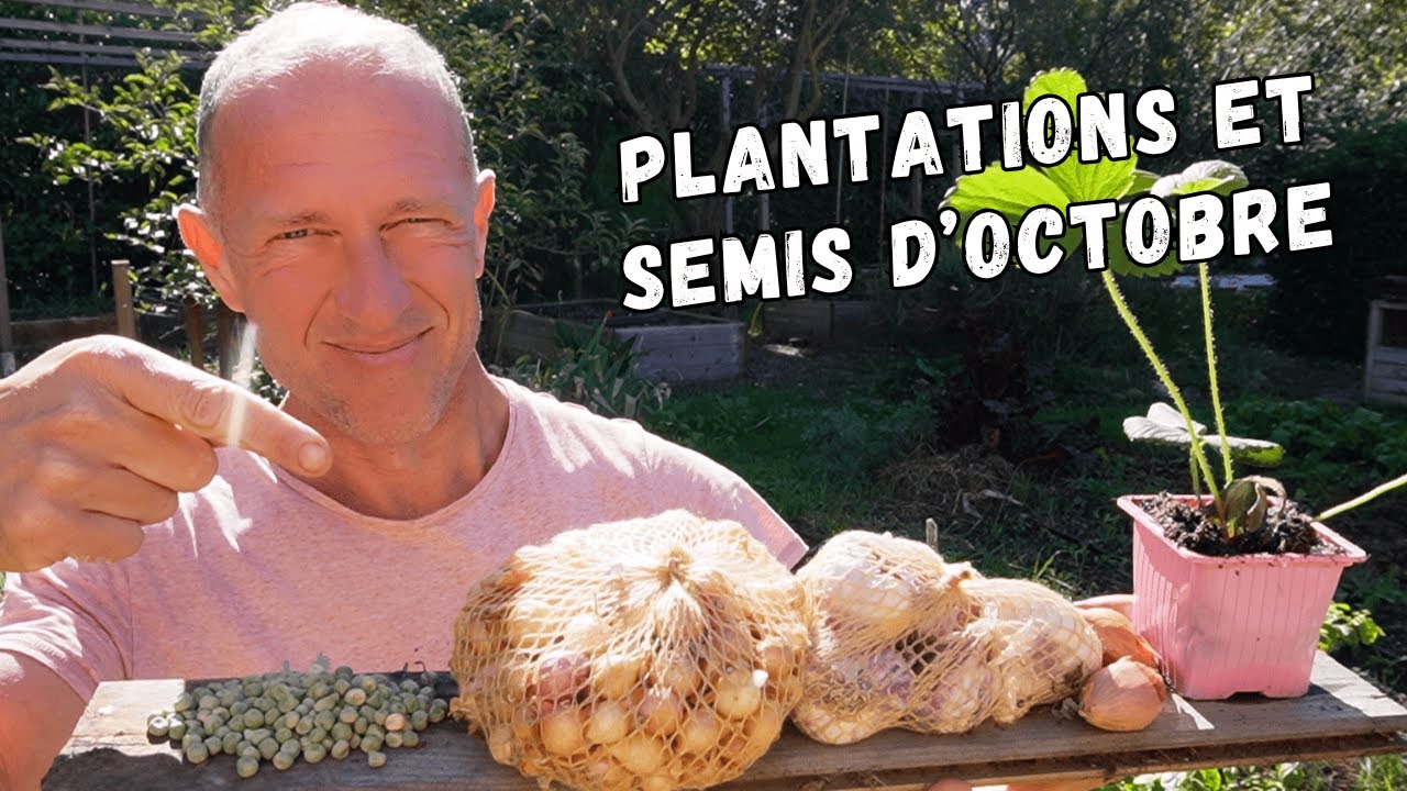 Potager : Que semer et planter en octobre & novembre 🍂