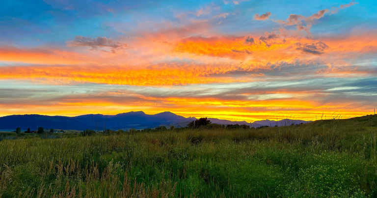 Montana's Cowboy Capital Might Be the Most Charming Small Town You Visit