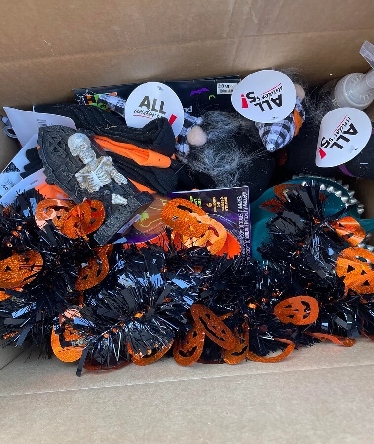Dumpster diver shares photo after stocking up on Halloween decorations ...