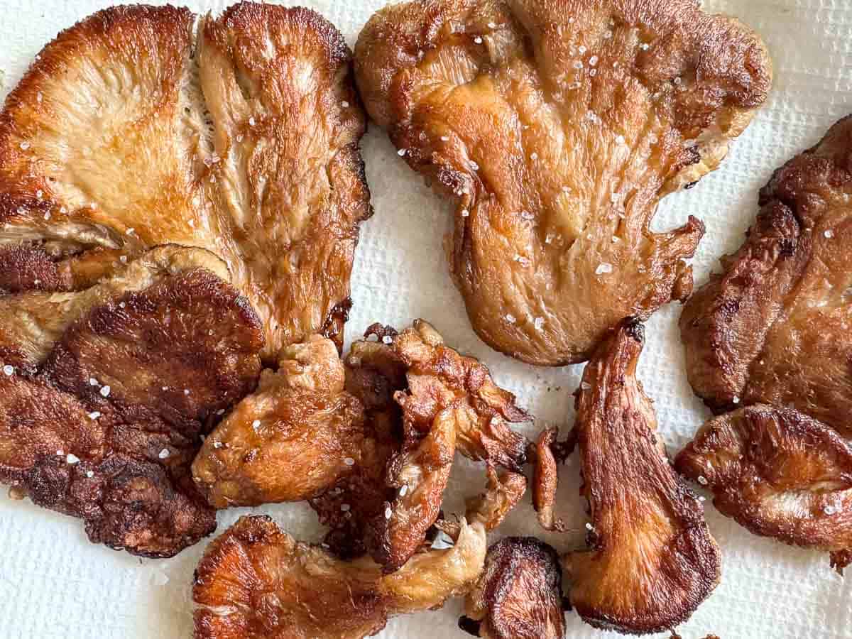 Mushroom recipes that make dinner cozy and simple